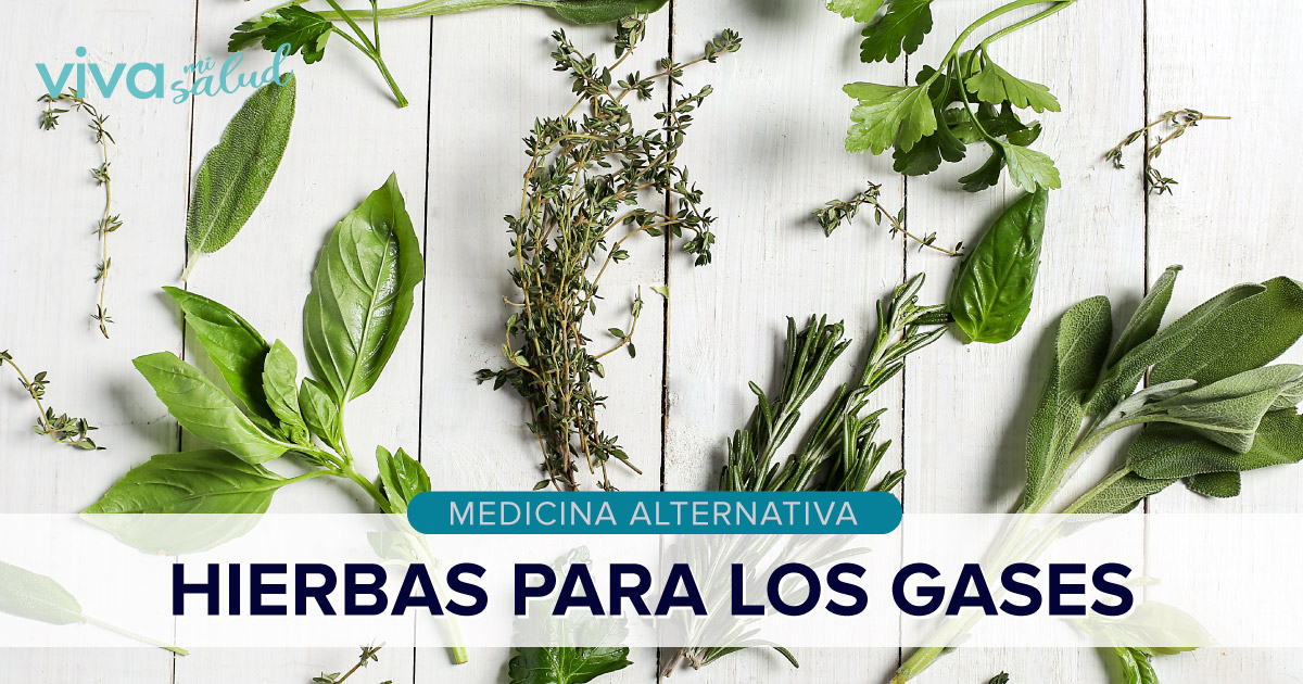 Hierbas naturales para prevenir los gases